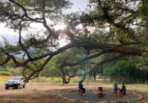 Estate Features – Sharalumbi